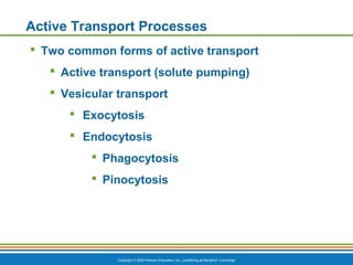 Ch3bppt cell transport and division | PPT