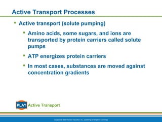 Ch3bppt cell transport and division | PPT