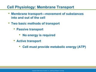 Ch3bppt cell transport and division | PPT