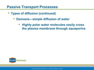 Ch3bppt cell transport and division | PPT