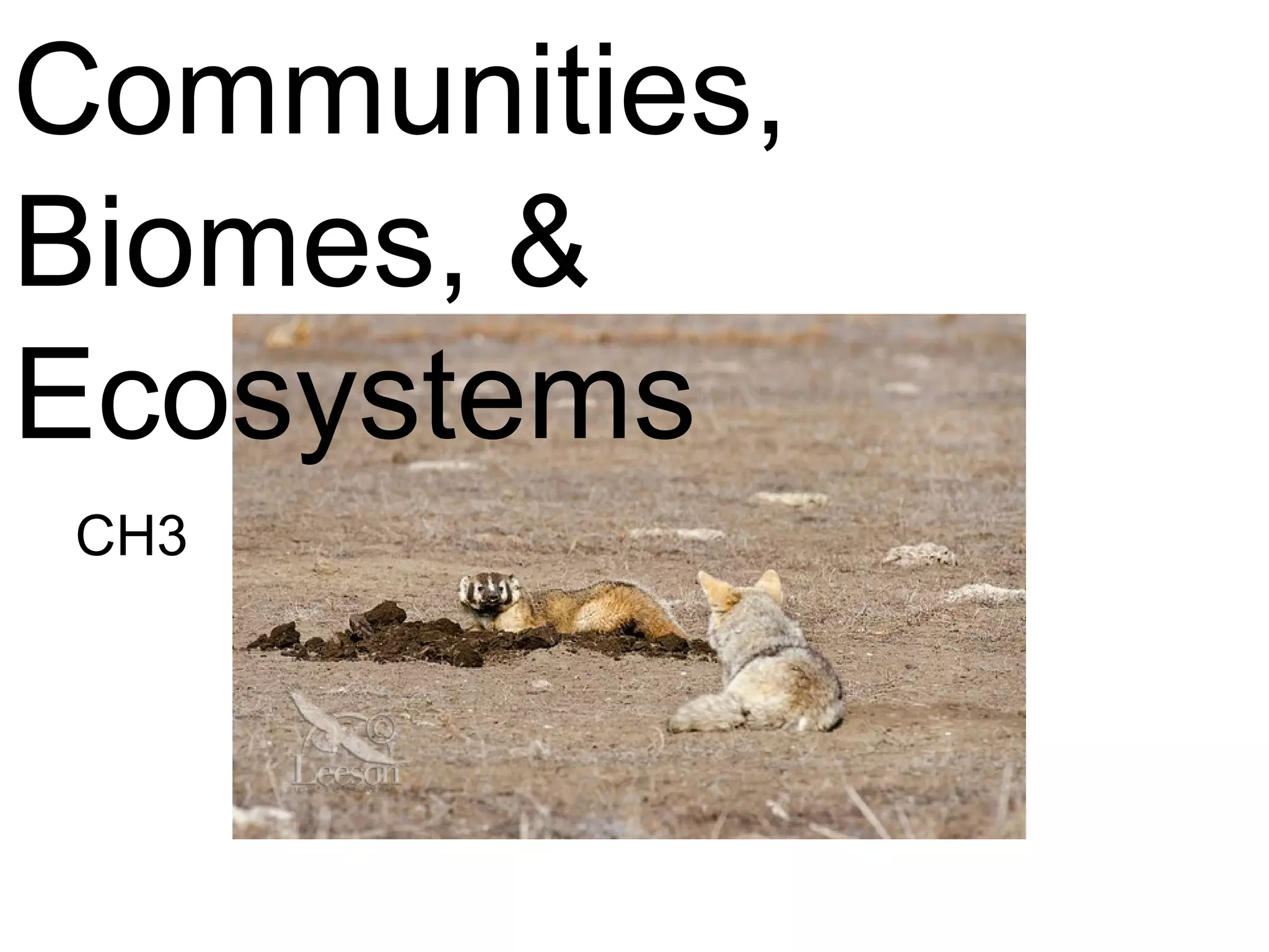 Ch3 communities, biomes, ecosystems | PPT | Environment | Science