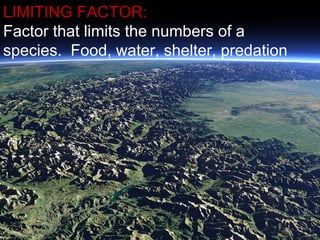 Ch3 communities, biomes, ecosystems | PPT | Environment | Science