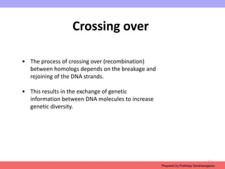 Ch3_Crossing over | PDF | Genetics | Science