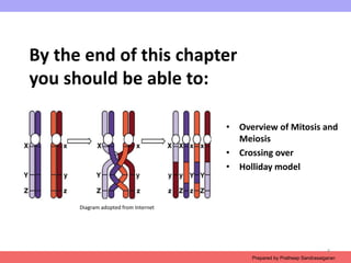 Ch3_Crossing over | PDF | Genetics | Science