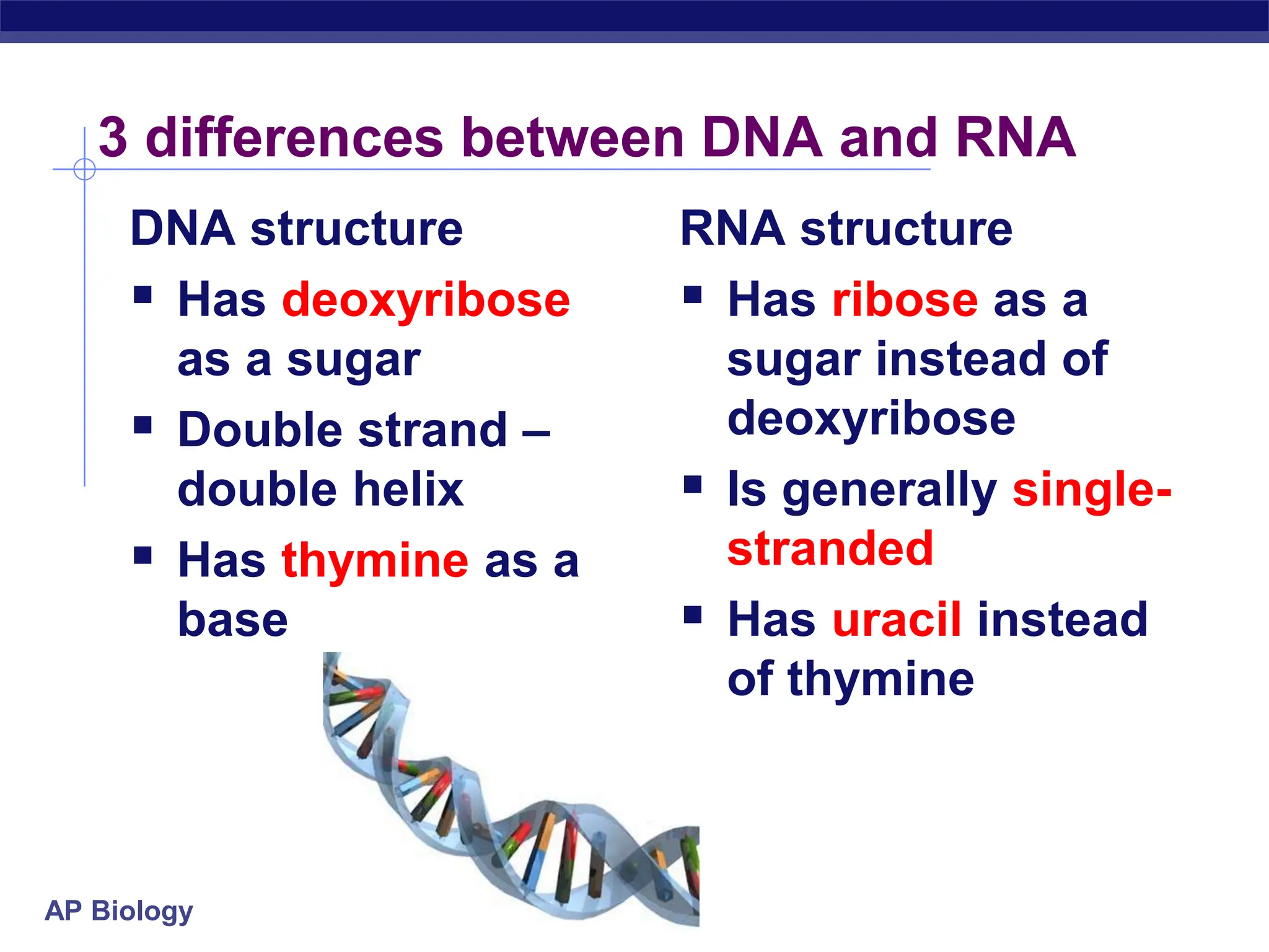 CH 3D Nucleic Acids and their information.ppt