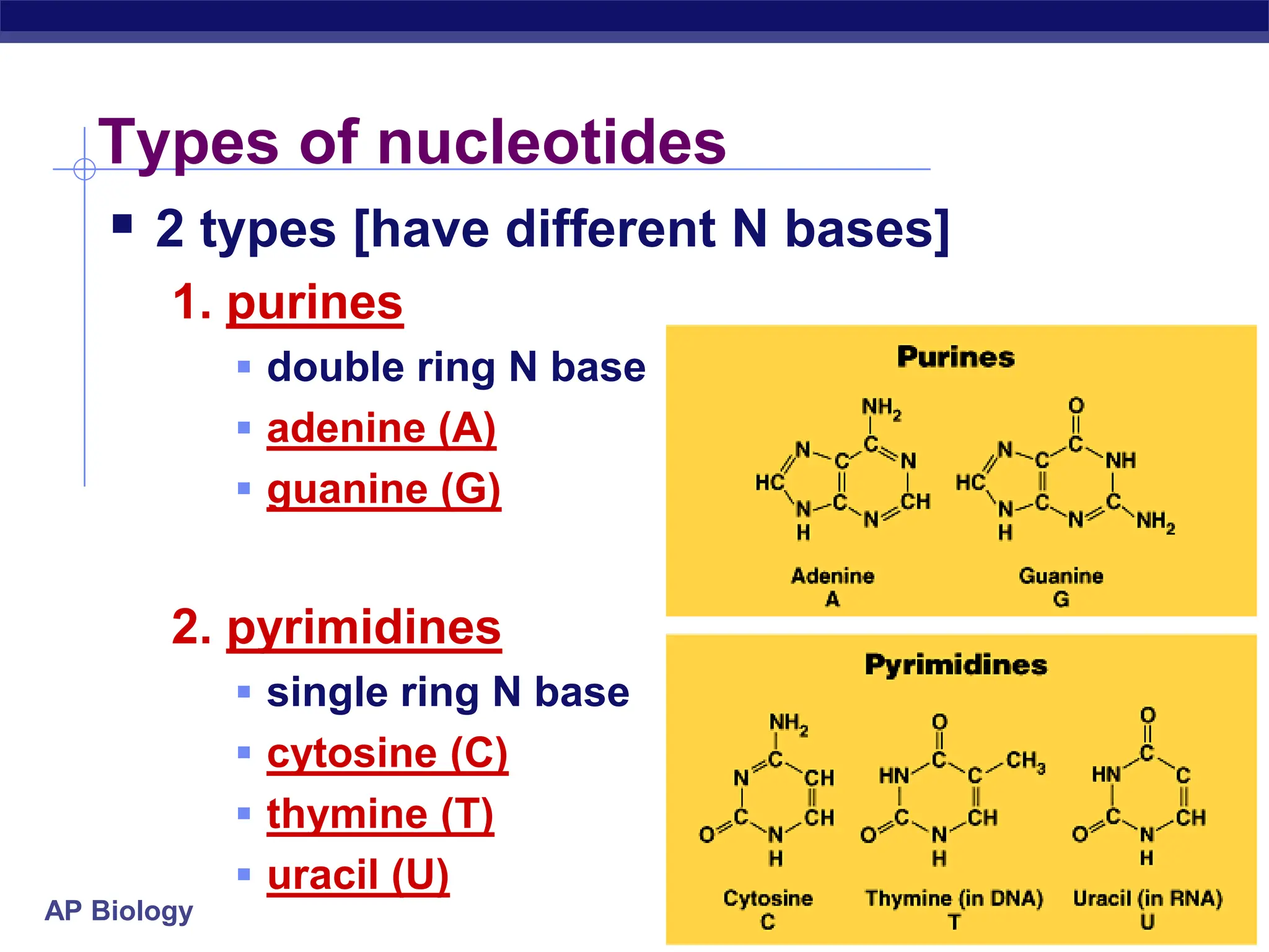 CH 3D Nucleic Acids and their information.ppt