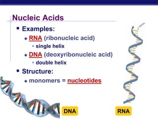 CH 3D Nucleic Acids and their information.ppt