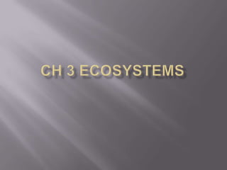 Ch 3 ecosystems | PPT