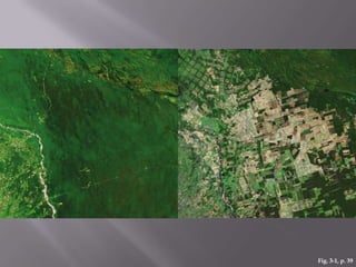 Ch 3 ecosystems | PPT