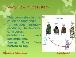 Ch 3 ecosystems | PPTX