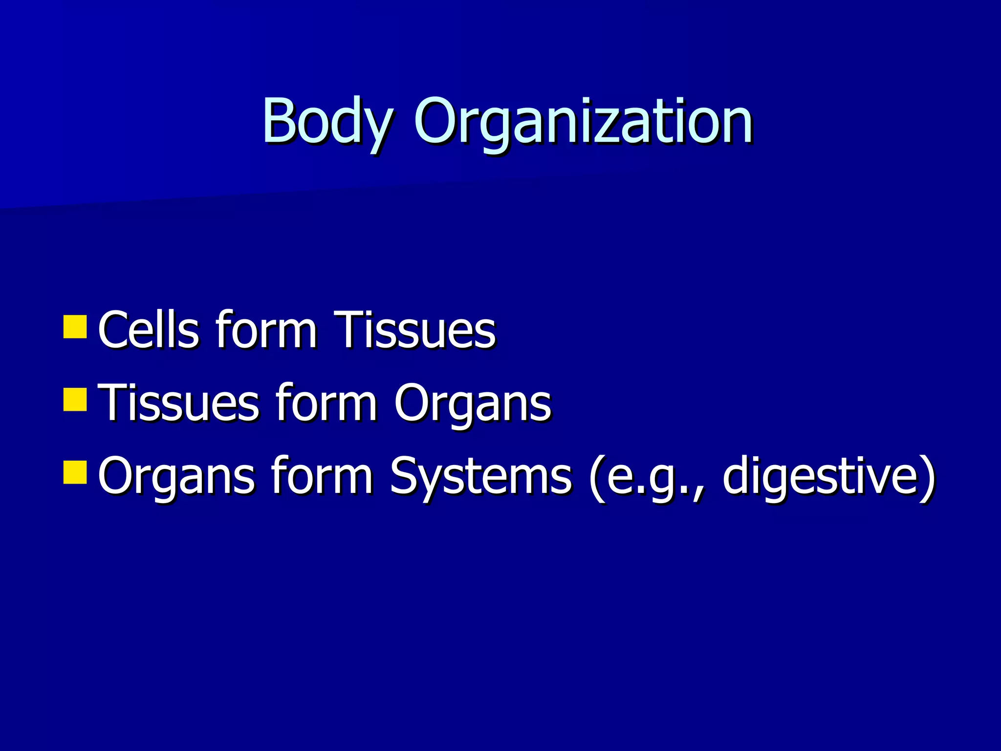 Ch3 Human Body | PPT