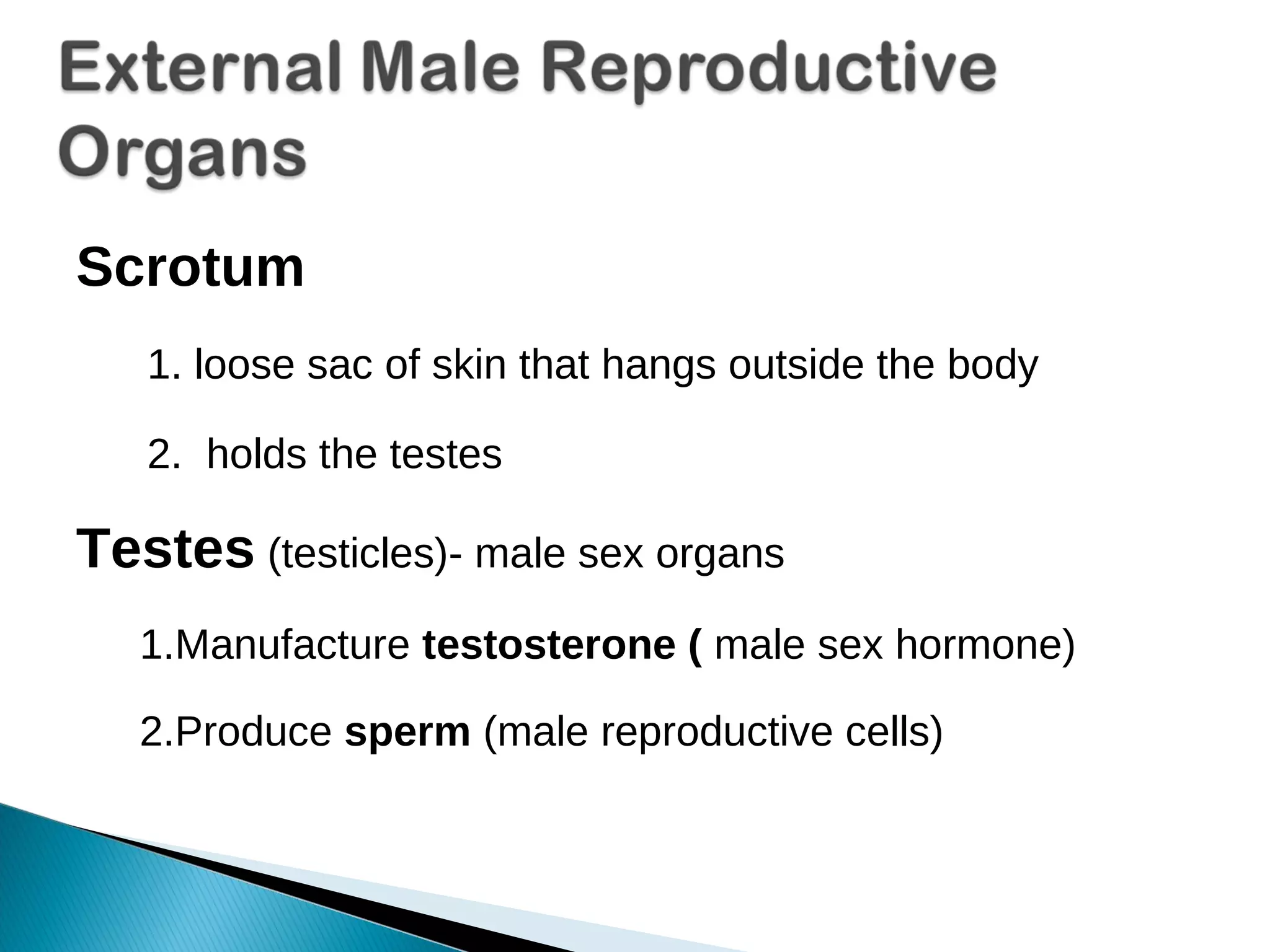 Ch3 L1 2 Male Female Reproductive Systems 3 2 Use Ppt