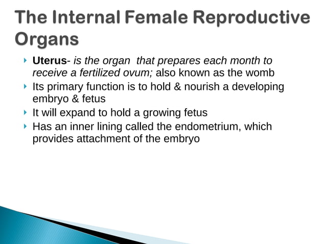 Ch3 L1 2 Male Female Reproductive Systems 3 2 Use | PPT