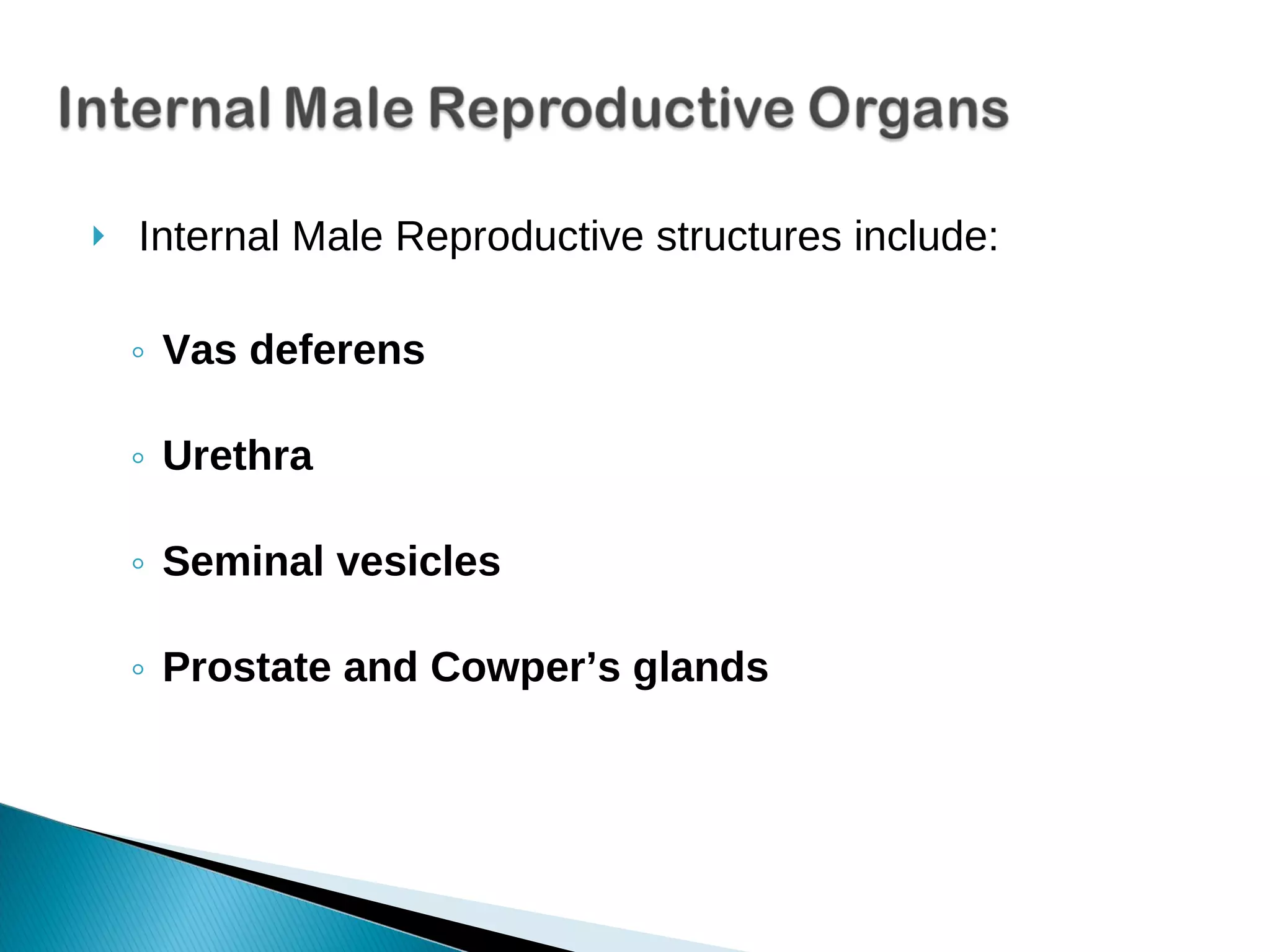 Ch3 l1 2 male female reproductive systems-3_2_-use | PPT