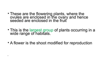 Ch 3 Plant Kingdom 2 Division Angiospermae.pptx