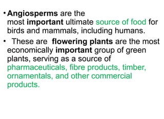 Ch 3 Plant Kingdom 2 Division Angiospermae.pptx