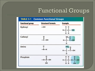 7 Functional Groups Chart