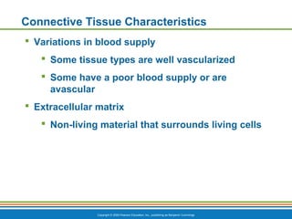 CVA A&P - Chapter 3: Connective Tissue | PPT