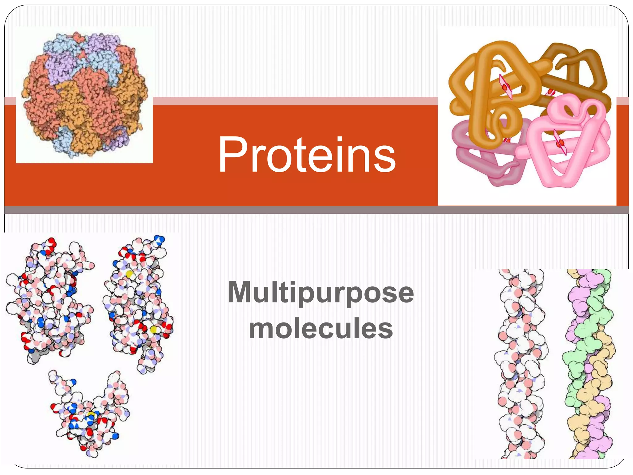 ch 3 proteins structure ppt.ppt