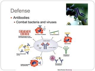 ch 3 proteins structure ppt.ppt