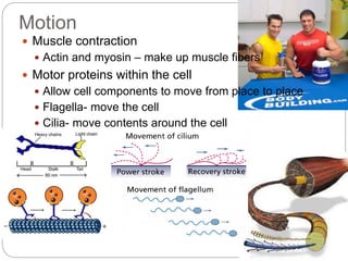 ch 3 proteins student print.pptx