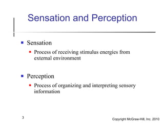 Ch 3 sensation perception | PPT
