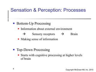 Ch 3 sensation perception | PPT