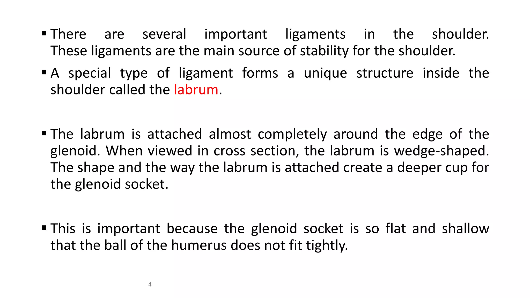 ch 3 Shoulder Elbow joint.pptx