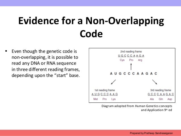 Ch3 the genetic code