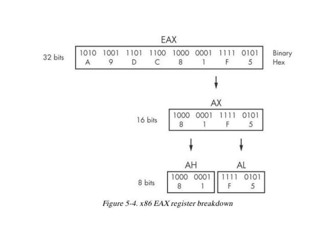 Practical Malware Analysis: Ch 4 A Crash Course in x86 Disassembly ...