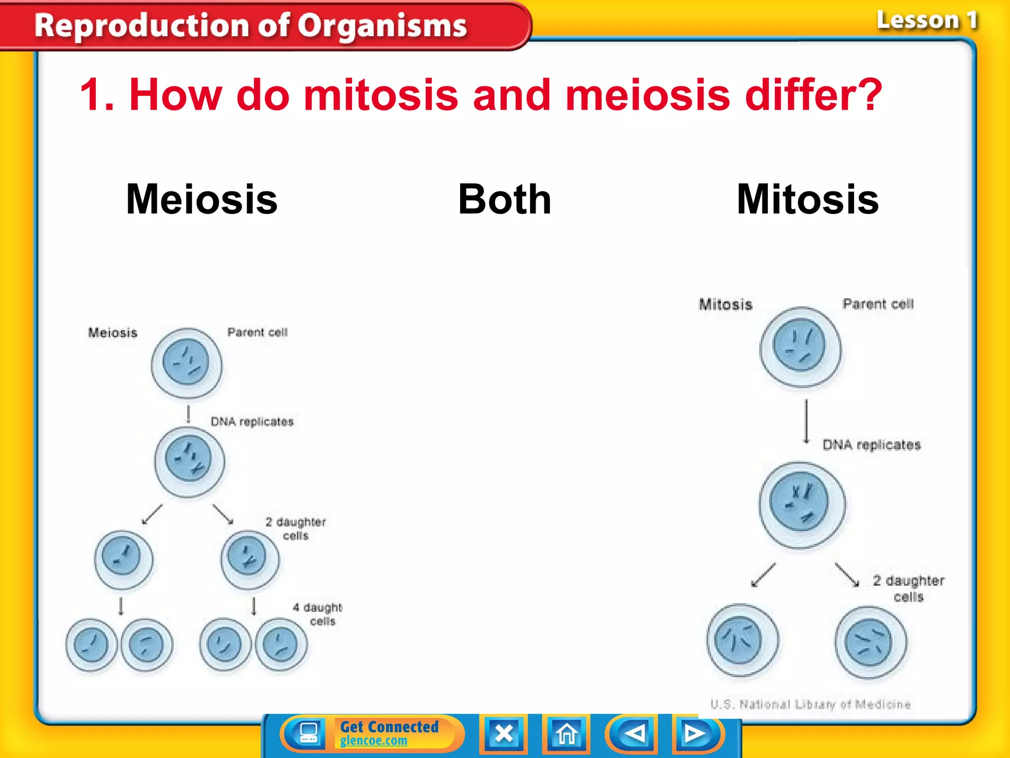 Ch. 4.1 Meiosis vs. Mitosis | PPT