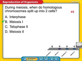 Ch. 4.1 Meiosis vs. Mitosis | PPT