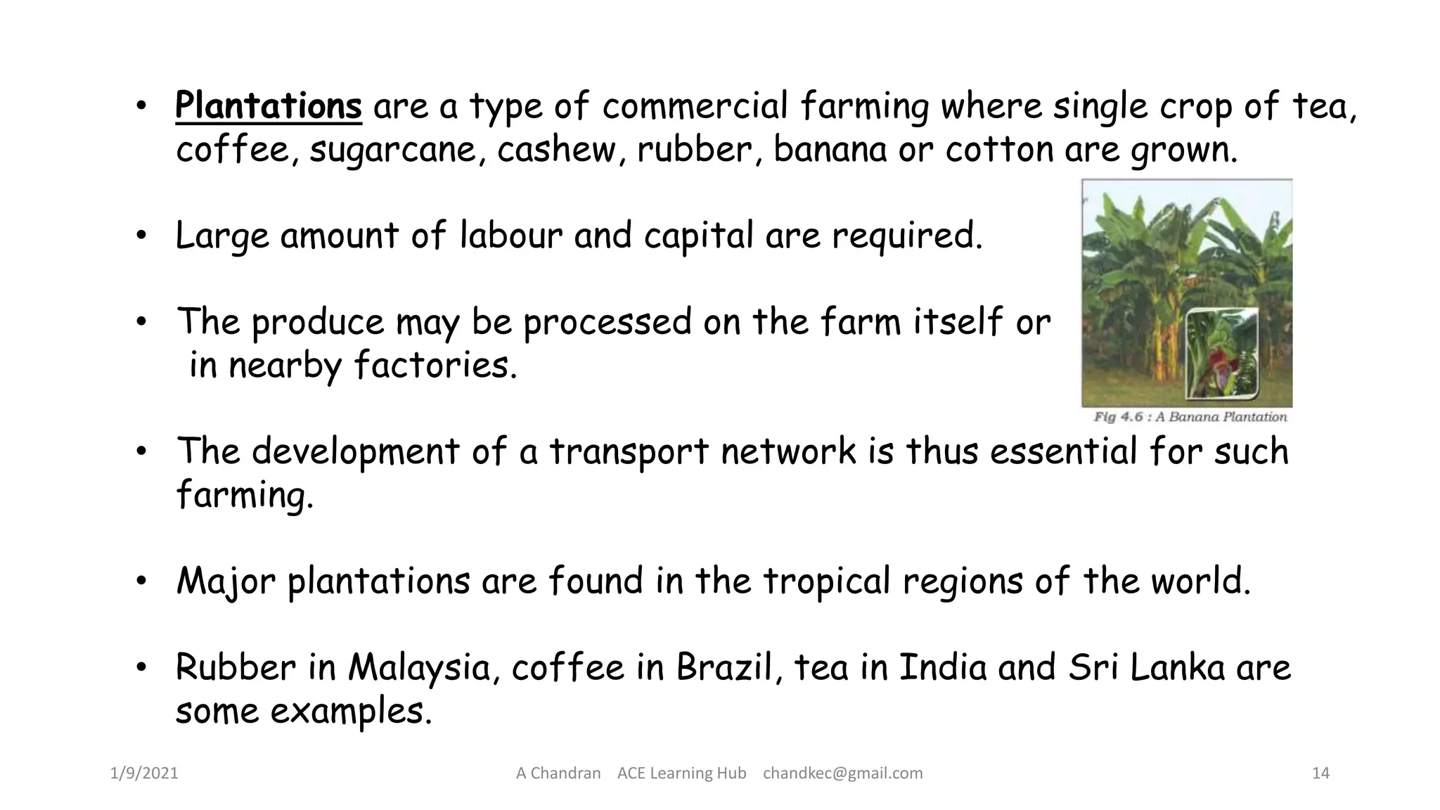 8th standard, Geography :Ch 4. Agriculture | PPTX