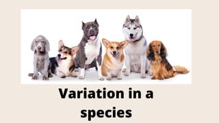 Ch 4. Classification and Variation in organism.pptx