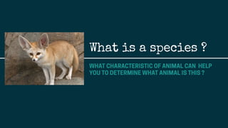 Ch 4. Classification and Variation in organism.pptx