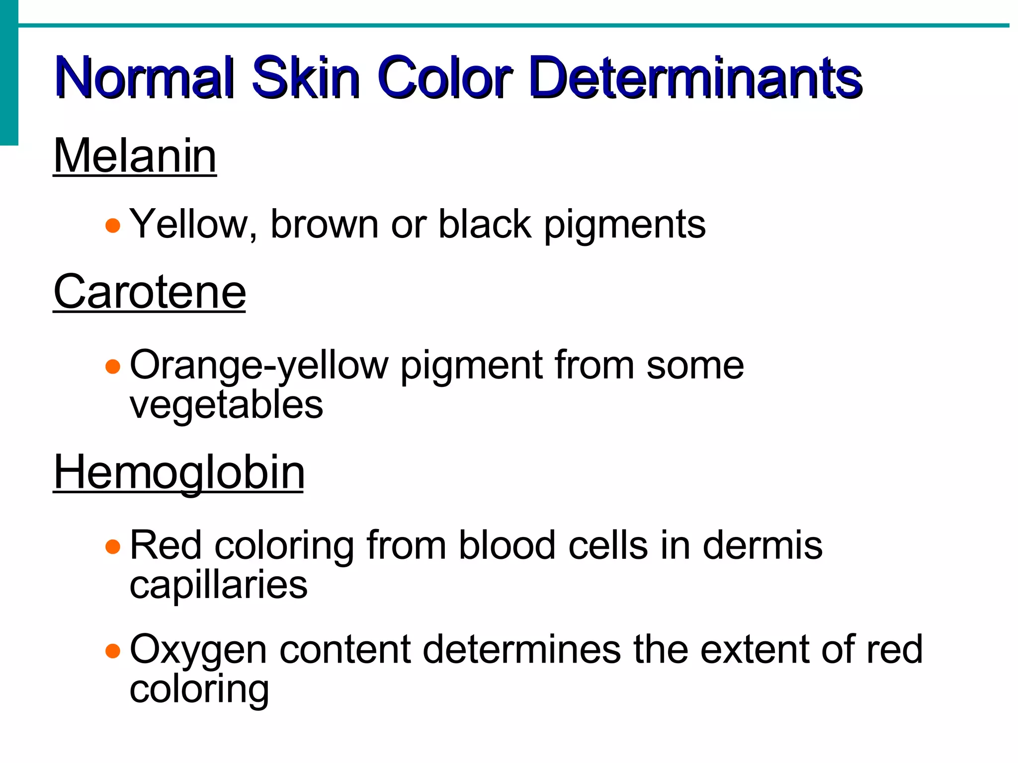 Ch4 Dermis | PPT