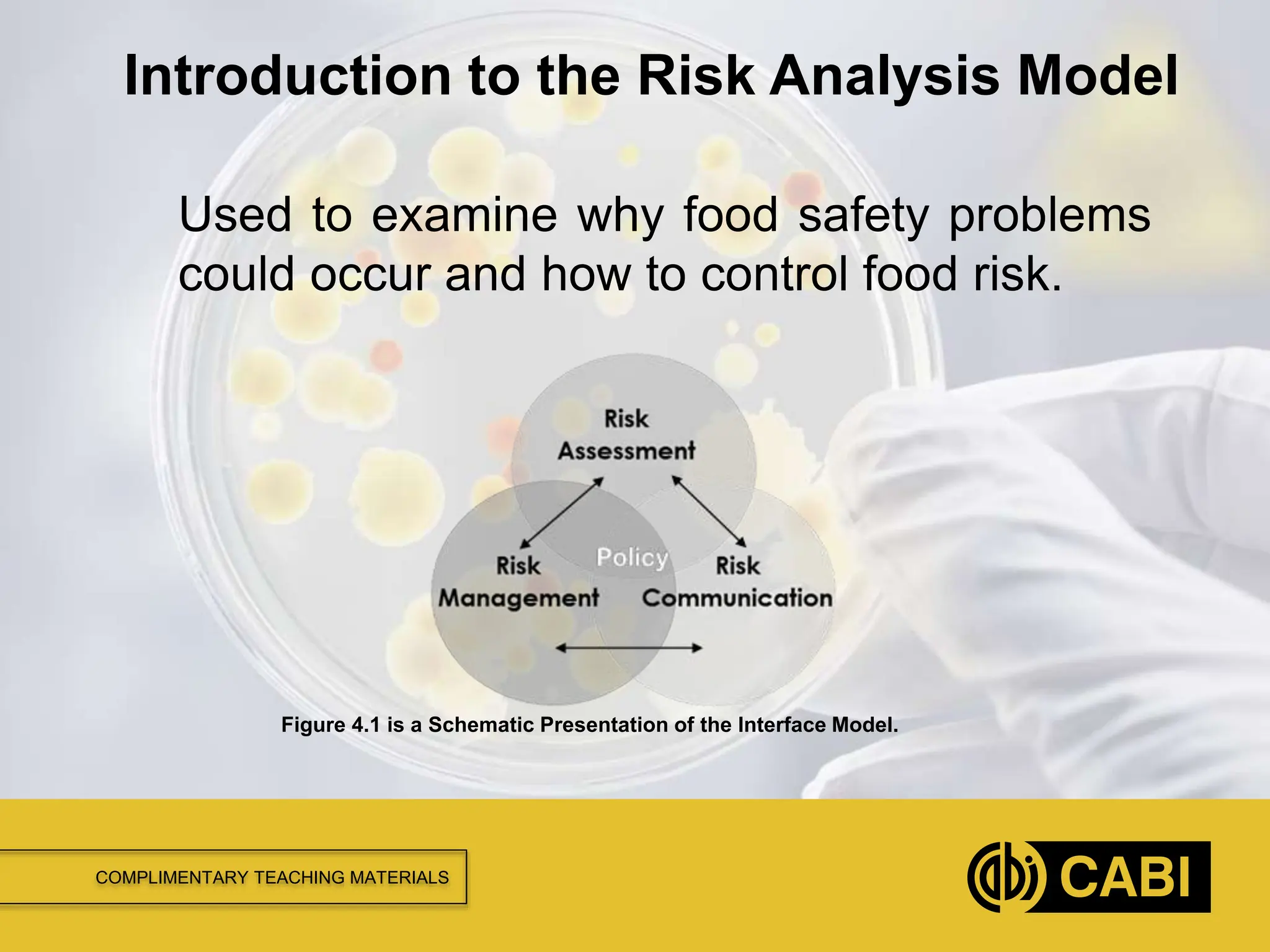 Microbial-Food-Safety.pptx
