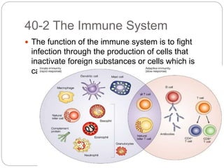 Ch_40_Immune_Disease.ppt