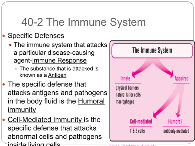 Ch_40_Immune_Disease.ppt