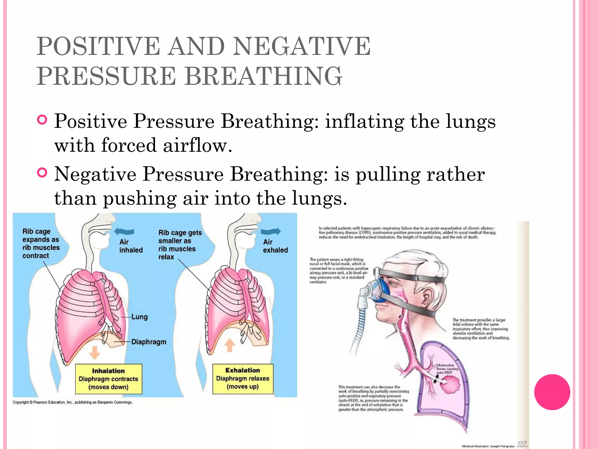 Ch 42[1] | PPT | Lung and Respiratory Health | Diseases and Conditions
