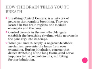Ch 42[1] | PPT | Lung and Respiratory Health | Diseases and Conditions