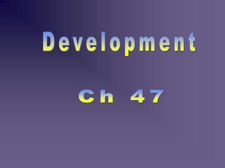 Ch 47 development | PPT