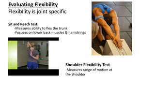 APPH 1050 Ch 4 and 5 strength training and flexibility | PPT