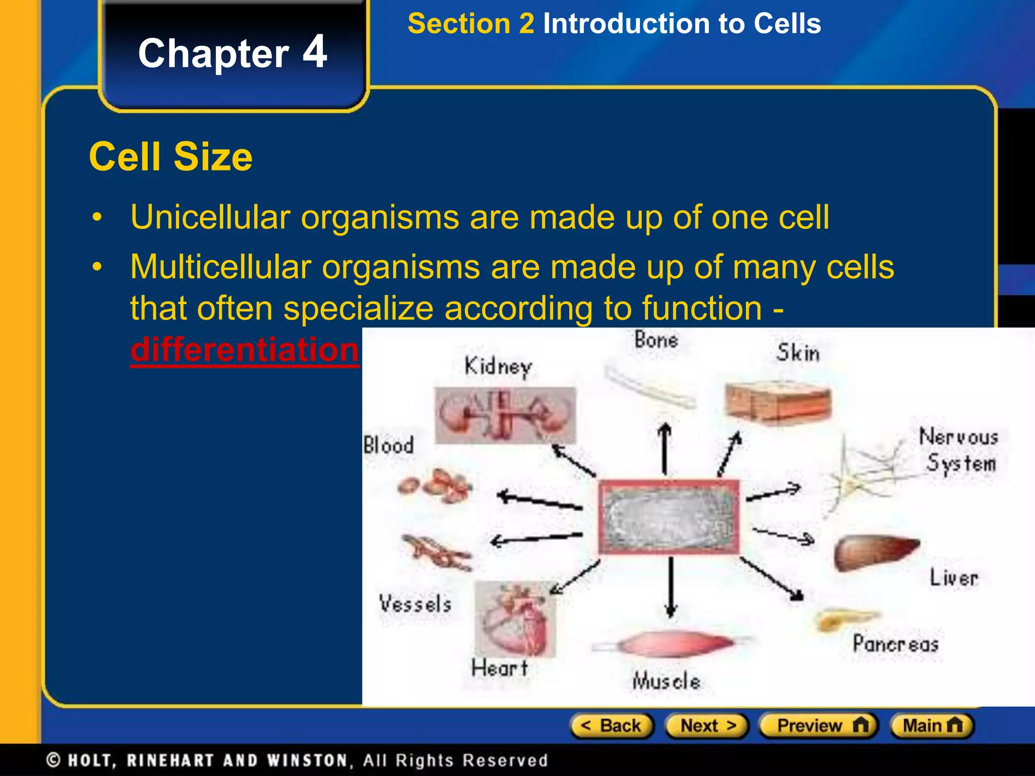 Cell Biology ppt | PPTX