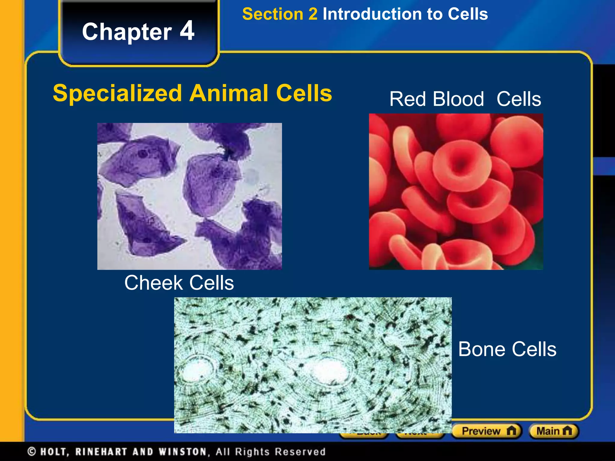 Cell Biology ppt | PPT
