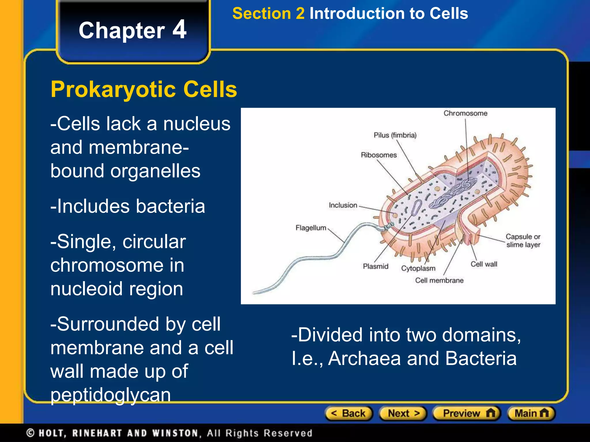 Cell Biology ppt | PPTX