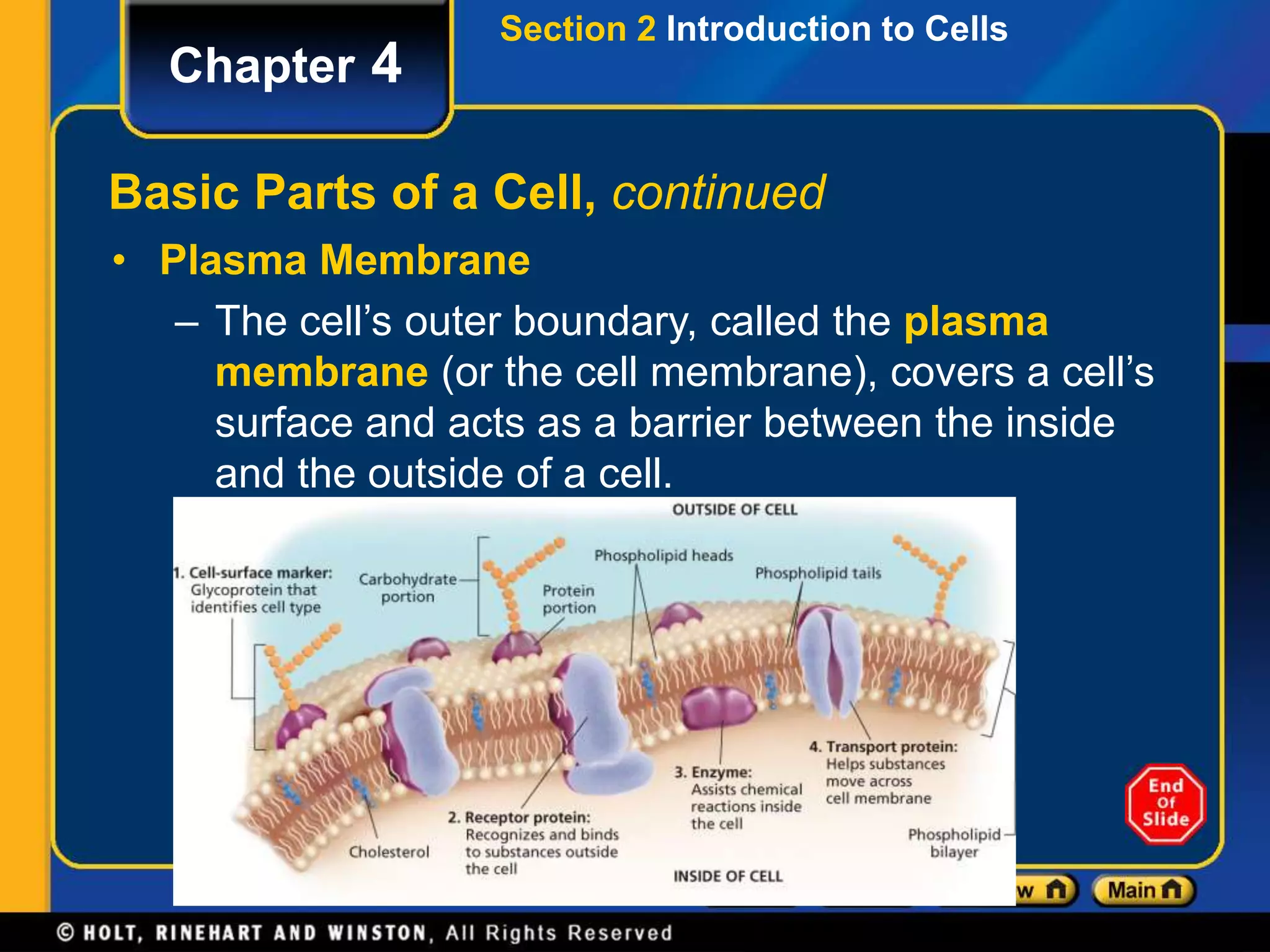Cell Biology ppt | PPTX