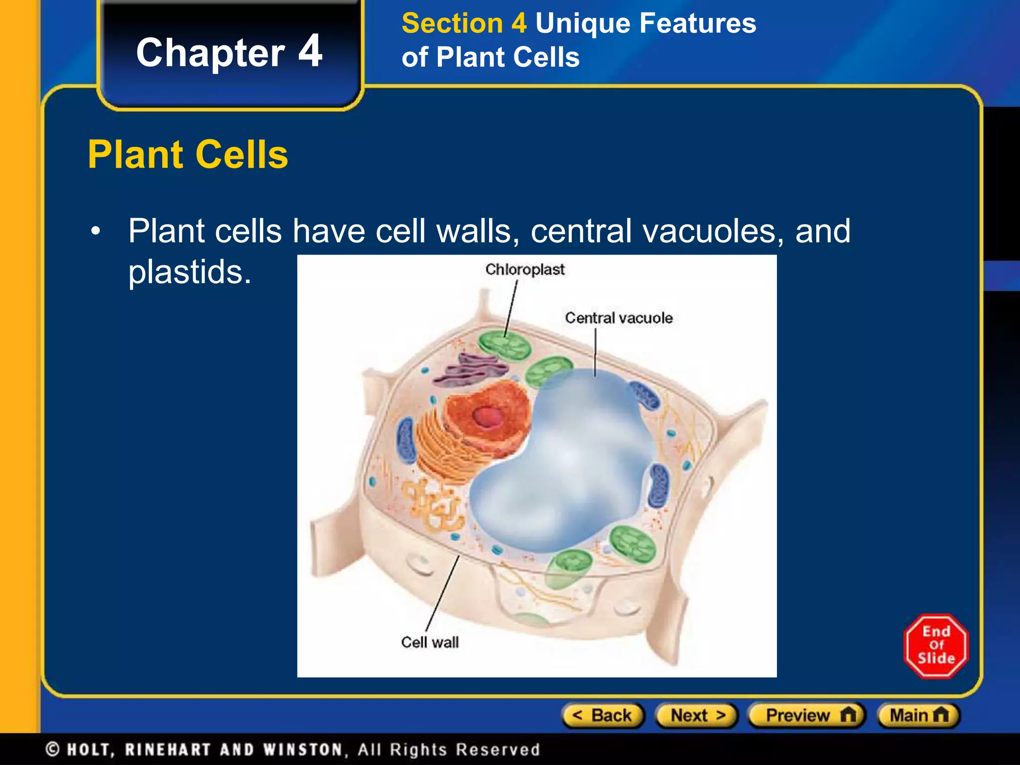 Cell Biology ppt | PPTX