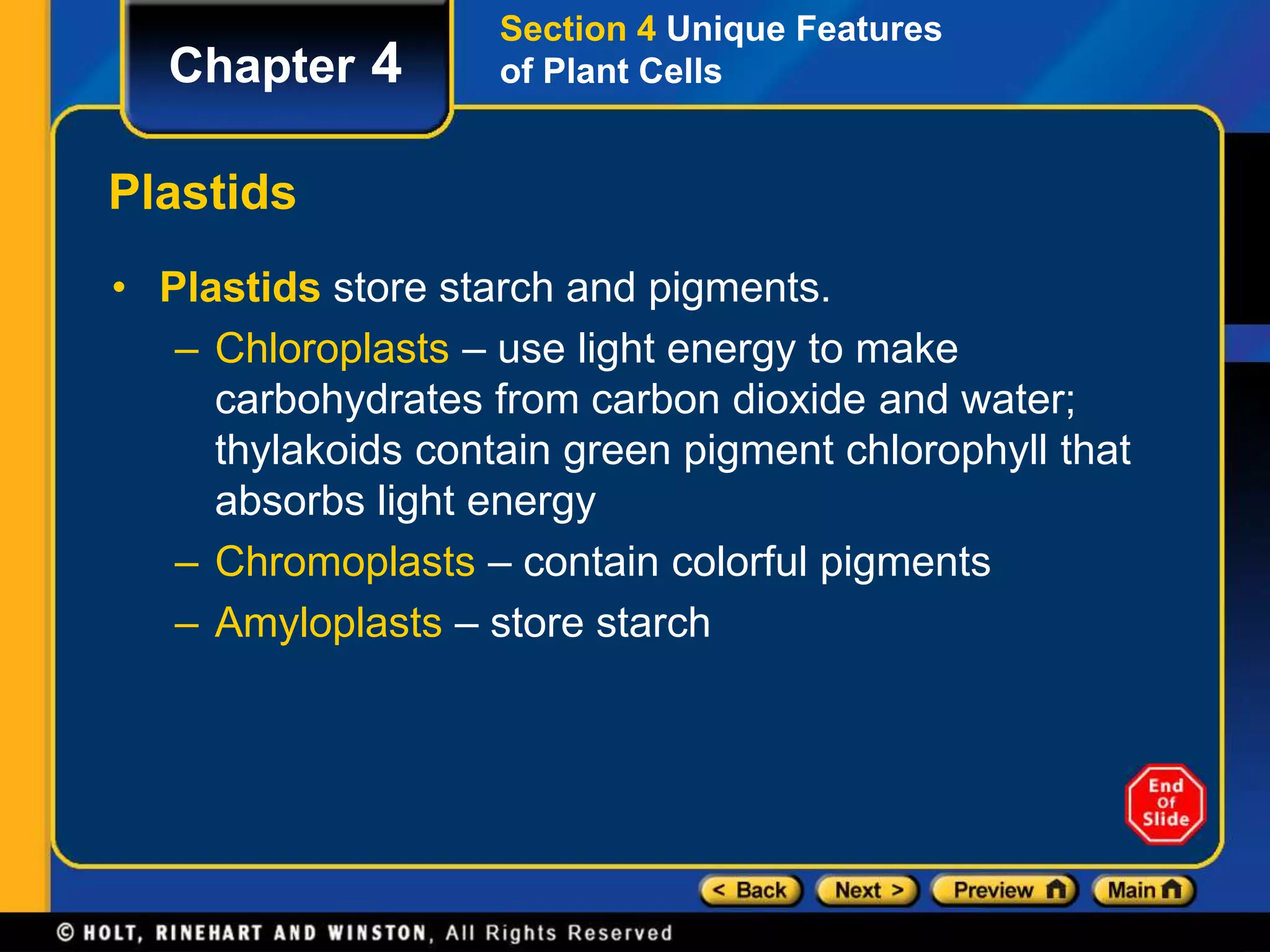 Cell Biology ppt | PPTX