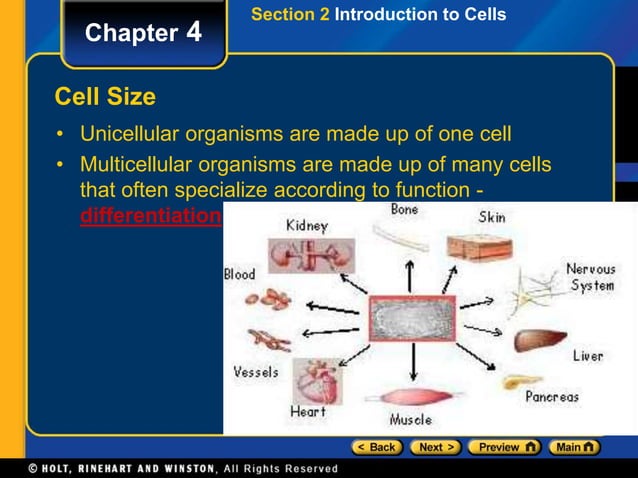Cell Biology ppt | PPTX